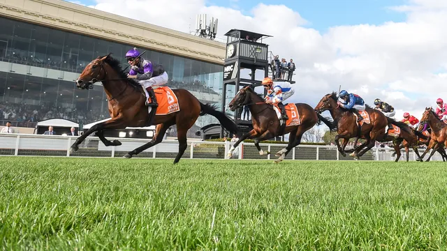 Alexandra Race Club